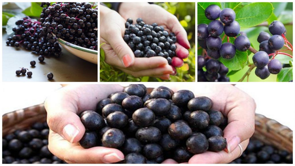 Acai Berry - 27 Beneficios y Propiedades Increíbles【2023