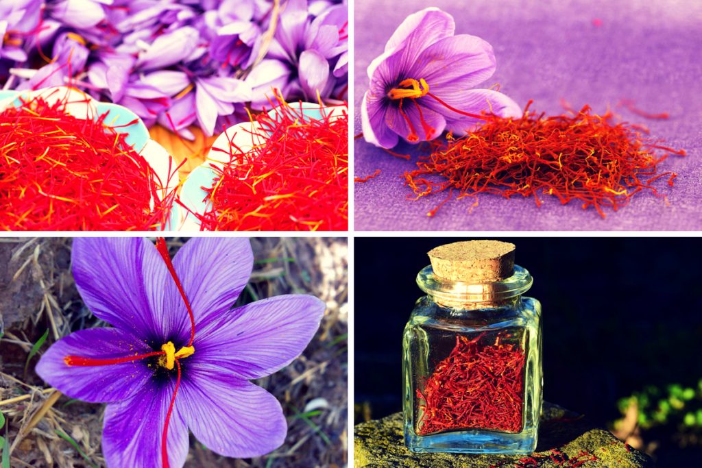 Azafrán - Origen, Beneficios como REMEDIO NATURAL [2018]